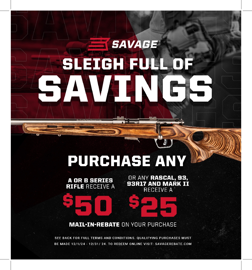 Savage 93R17 BTVSS Brown Laminate Thumhole Stainless 17 HMR 21in 96200 ...